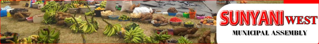 Sunyani West Municipal - GhanaRegions.com - Latest update from all the ...