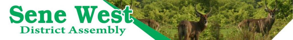 Sene West District - GhanaRegions.com