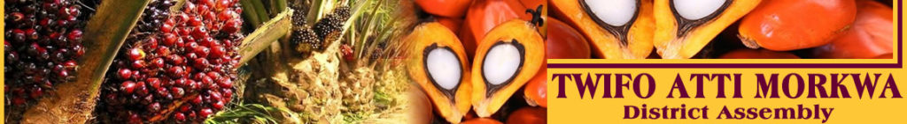 Twifo Atti Morkwa District - GhanaRegions.com
